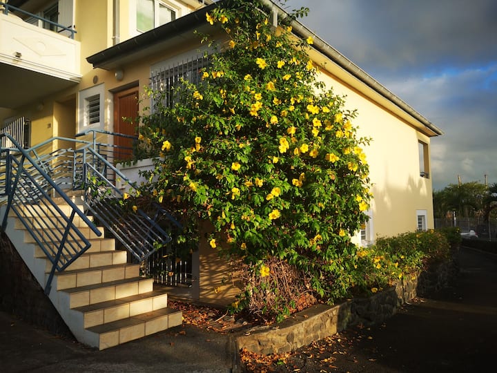 Charmant T3  Avec Piscine  Face Au Lagon - La Réunion