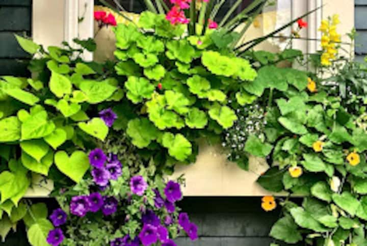 The Parkside House - Burlington, VT