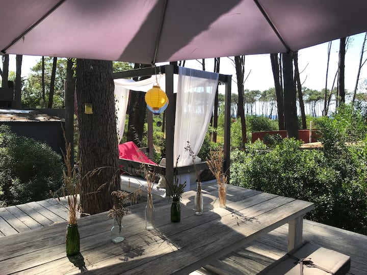 Casa De Bosque Y Playa. - Sauce de Portezuelo