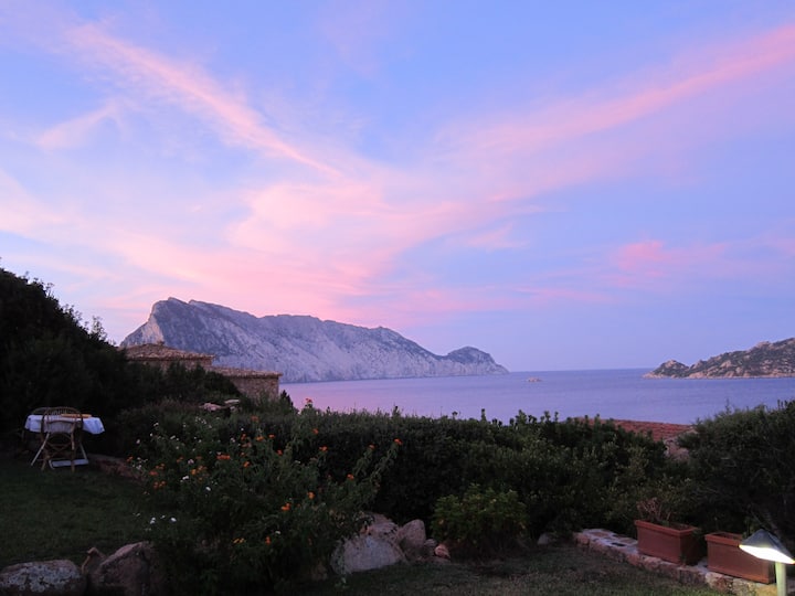 Punta Molara Alloggi e case vacanze - Sardegna, Italia | Airbnb