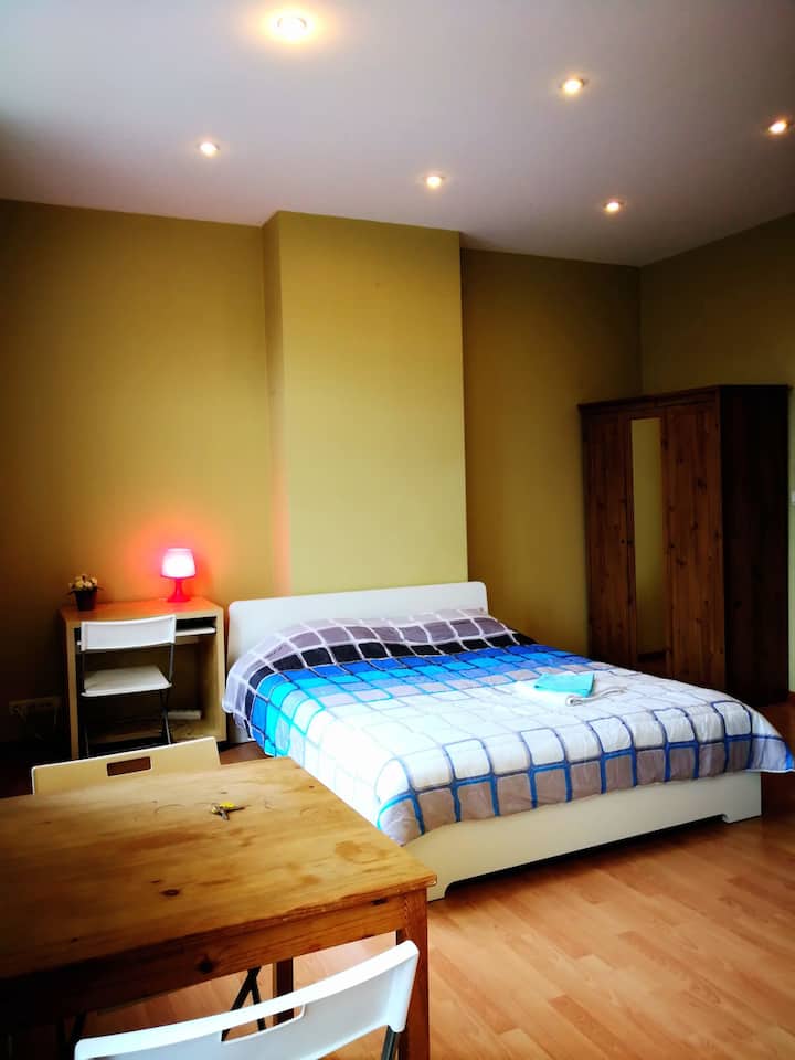 Large Studio 1-2p, Eu Schuman, Jw1g - Evere