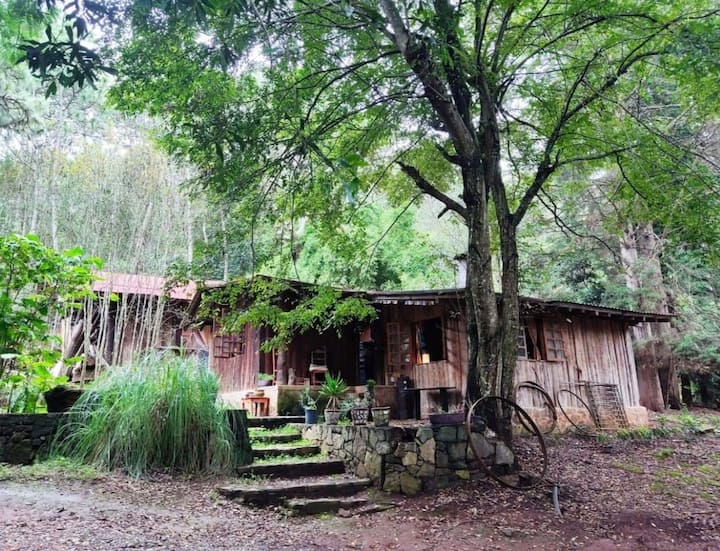 Cabaña En El Bosque Caminando Del Centro
