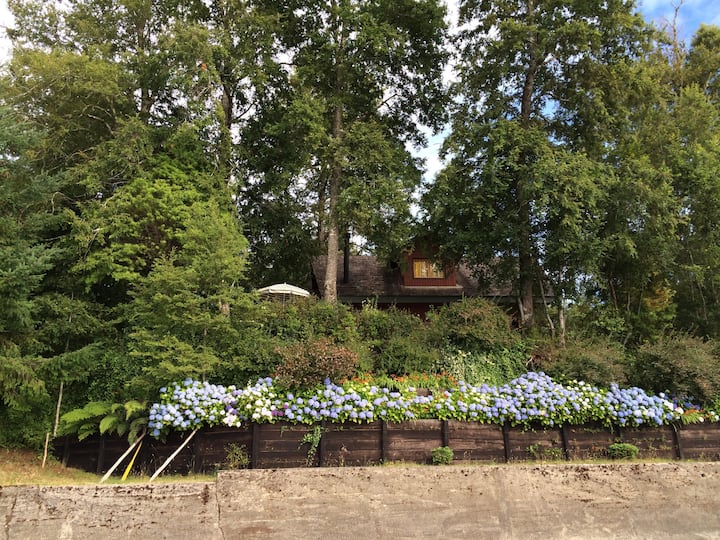 Cabaña A Orillas Del Lago Calafquen. - Panguipulli