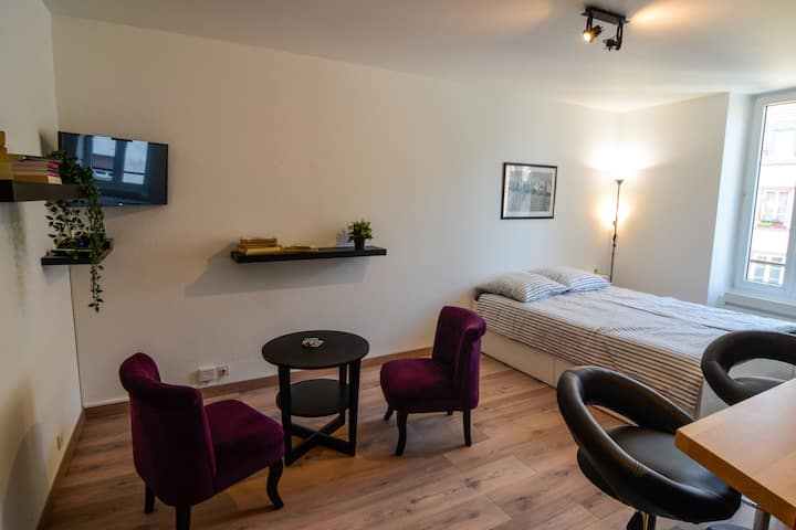 Mignon 30 M² Aux Portes De La Petite France - Robertsau
