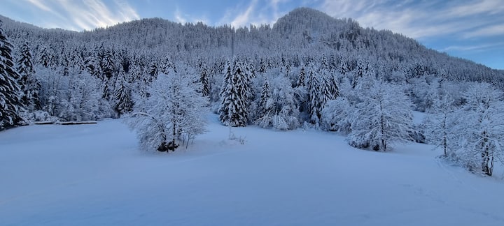 F2 Refait à Neuf Proche Du Linga - Châtel