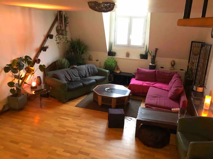 Large Double Room On Pedestrian Centre Boulevard. - Brussels