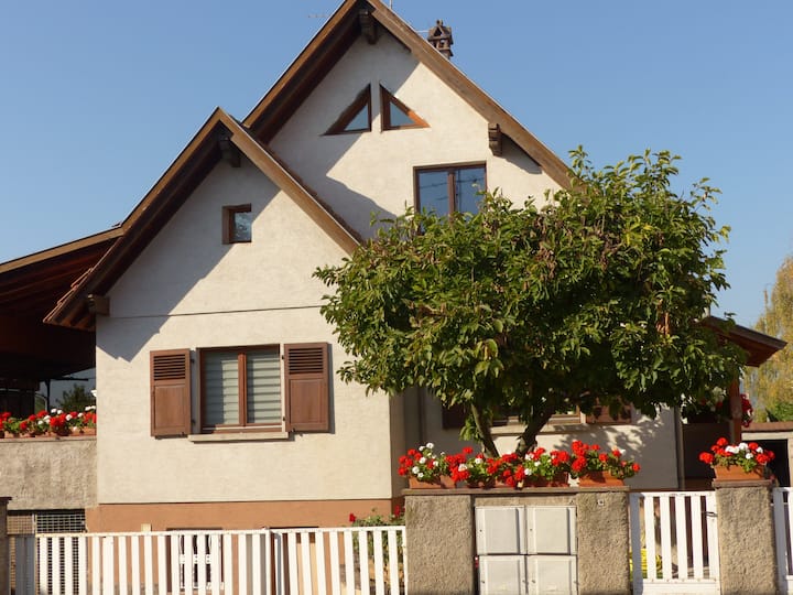 Gite Spacieux Au Coeur De L'alsace 3*** - Kintzheim