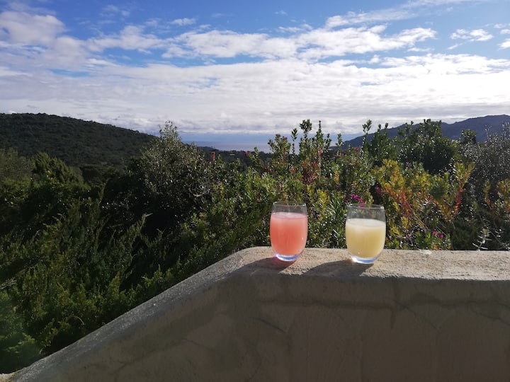 Mini-villa: Détente, Plage Et Golf à Santa Giulia - Santa Giulia