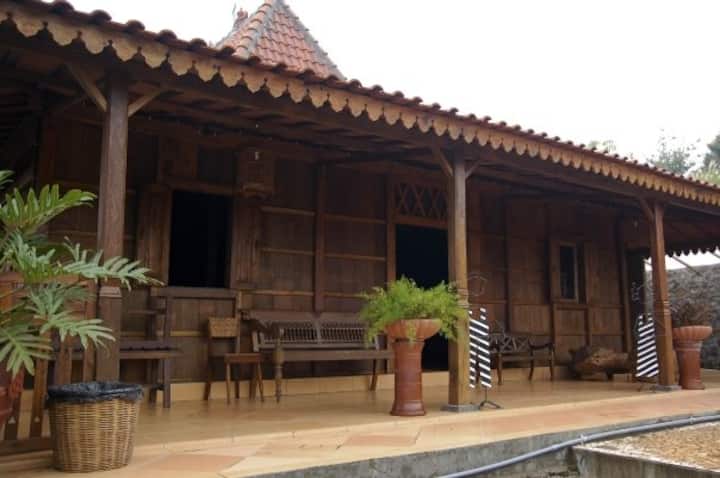 Traditional Rest House - Borobudur