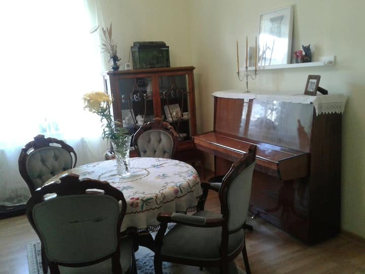 Cozy Flat Near Pazaislis Monastery - 考納斯