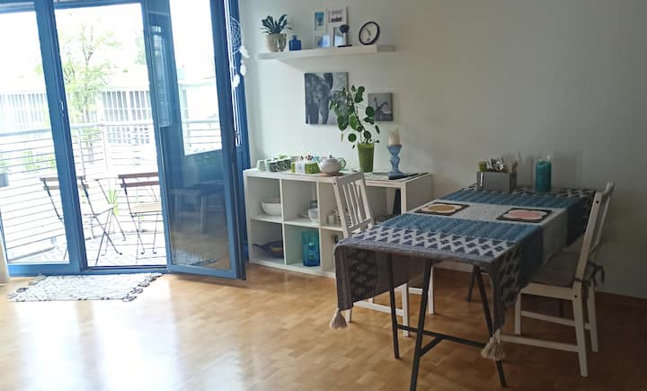 Viel Platz In Sonnigem Einraum-appartement, 48 Qm - Dresde