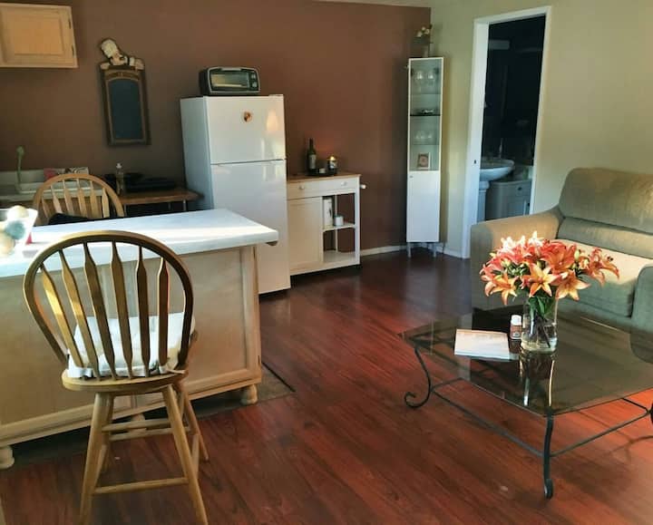 Beautiful Modern One Bedroom Flat - Costa Mesa, CA