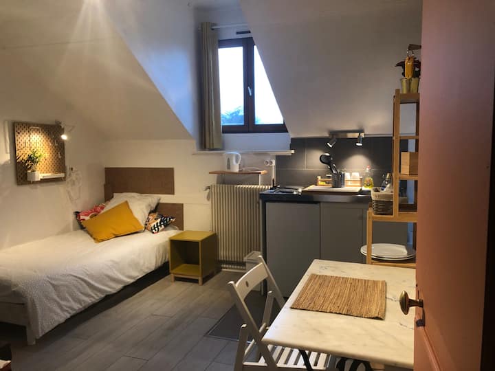 Studio 15m2 Proche Paris Et Disneyland - Champigny-sur-Marne