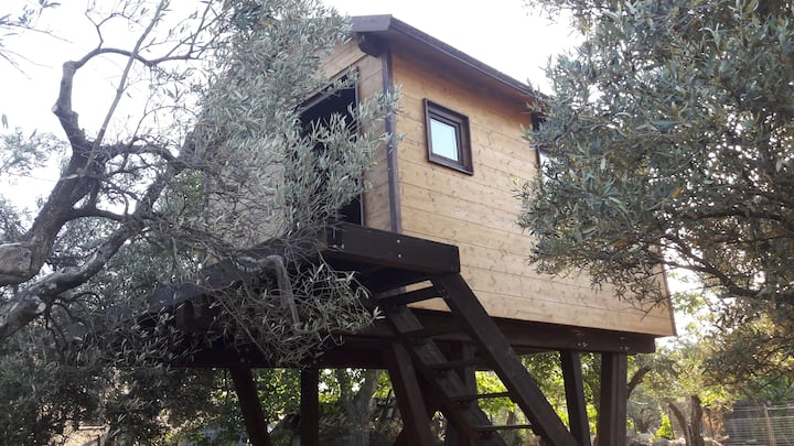 Palazzo Conforti Treehouse Resort Noce - Cosenza