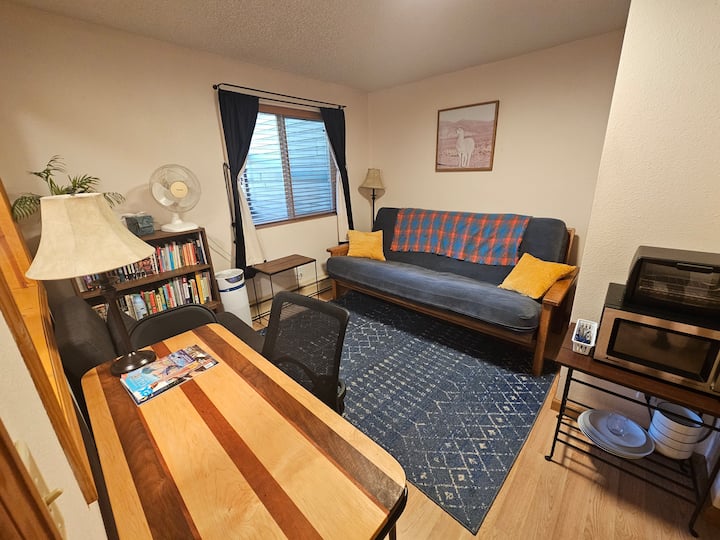 Mountainside Get-away: Walk To The Gondola! - Steamboat Springs, CO