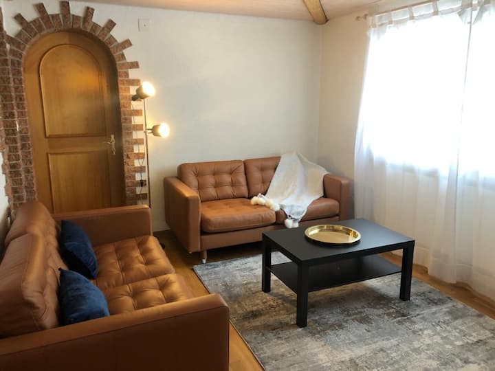 Gemütliche, Zentrale Wohnung In Zermatt - Zermatt