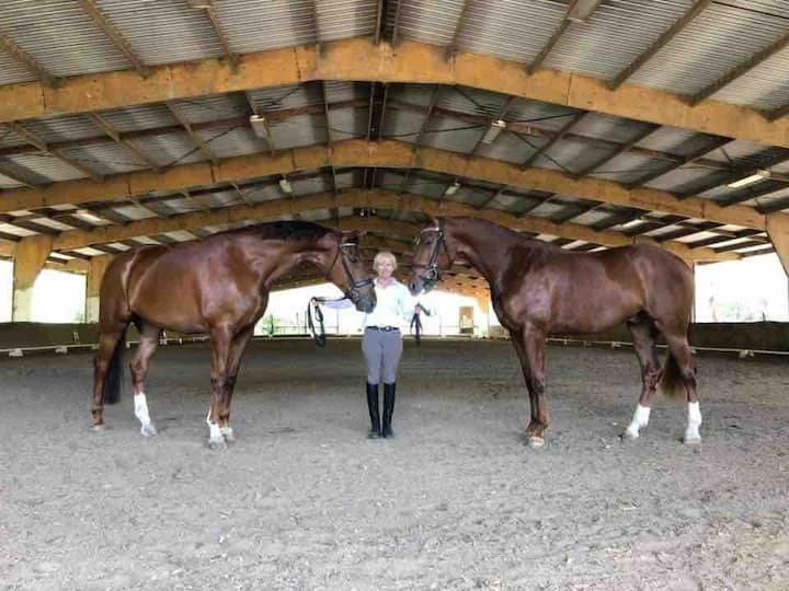Hvec (Horse Property) Camp Site ,Black Hill 2322 - Maitland