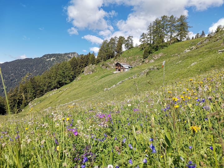 Alpji Hängula, Alpines Paradies Auf 1850m - Canton of Valais