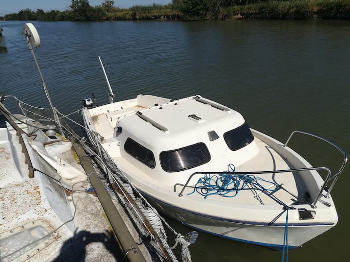 Voir La Camargue En Bateau Sans Permis, 5 Pers Max - Vauvert