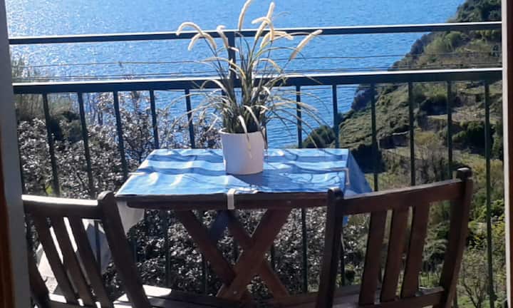Appart. Sea View - Free Parking And Wifi 5terre - Vernazza