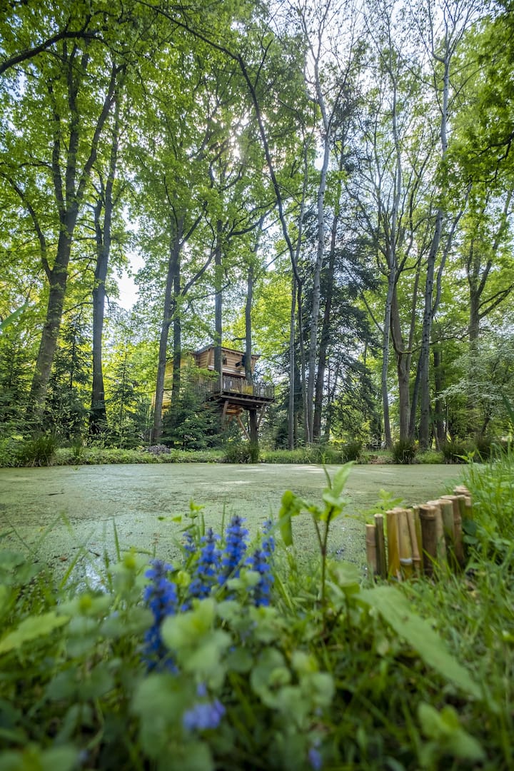 Le Monde De Charlie - La Cabane De Rémi - Vichy