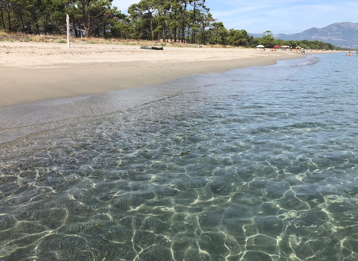 Agréable Et Vaste Appartement F3 à 80m De La Plage - Biguglia