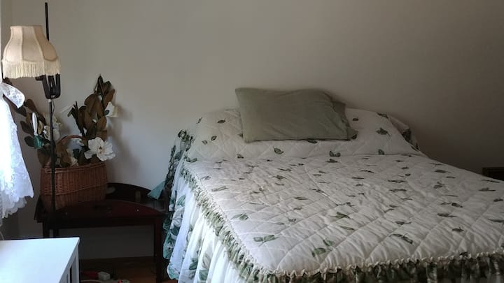Victorian- Old Historic Northside  (Magnolia Room) - Pueblo, CO