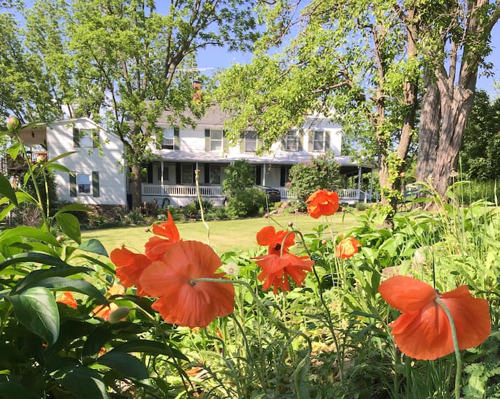 Lennon Room-cottage Views Lodging-private Room - Seneca Lake
