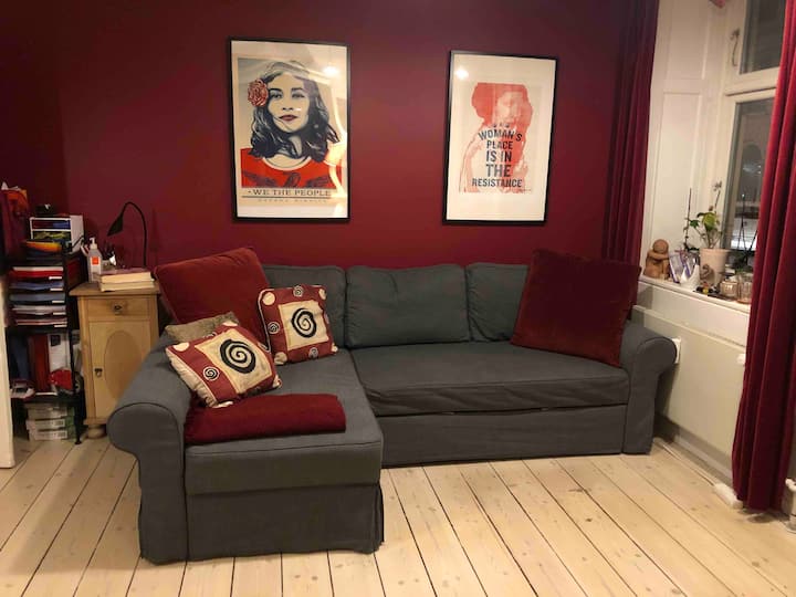 Roomy Downtown Family Apartment - Copenhagen