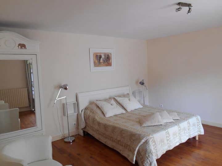 Chambre  Safari  à Proximité De Villefranche - Villefranche-sur-Saône