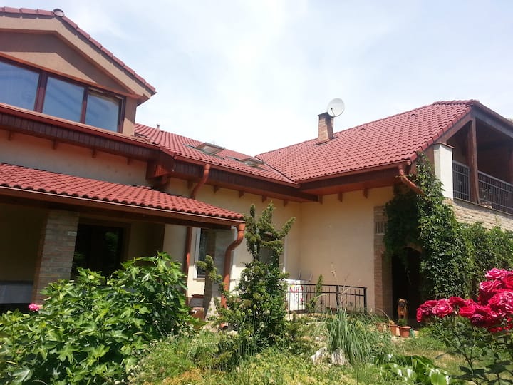 Sturovo Apartment + Terrace+bikes - Štúrovo