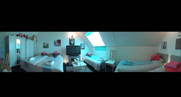 Visit Amsterdam & Utrecht ! Cosy Comfortable B&b. - Utrecht