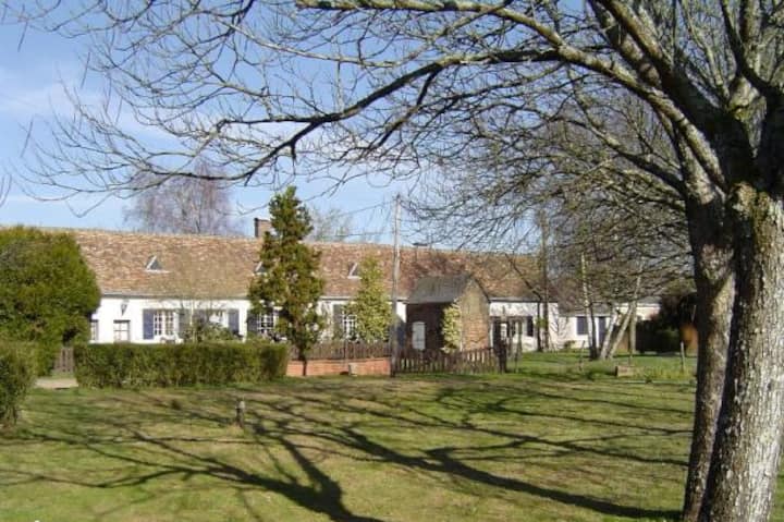 L'eldorando: Ses Chevaux, Forêt Et Circuit Du Mans - Forêt de Bercé