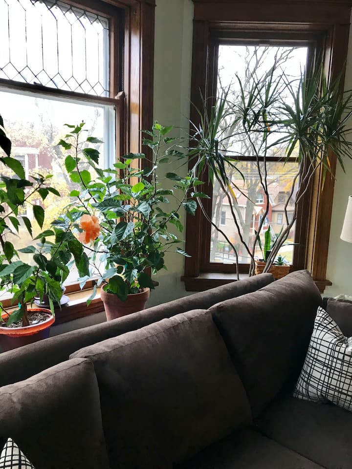 Ukrainian Village 3 Bedroom Apartment - Chicago, IL