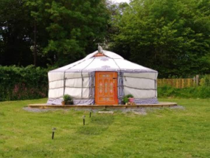 Devon-yurts At Hemsford Yurt Camp Totnes Devon - Buckfastleigh