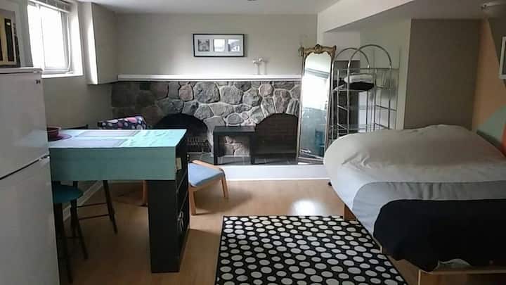 Bright & Cozy Bachelor Apartment - Ottawa