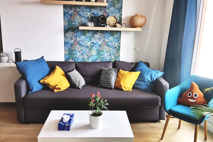 Appart 43m2 Centre/sud Paris - Paris