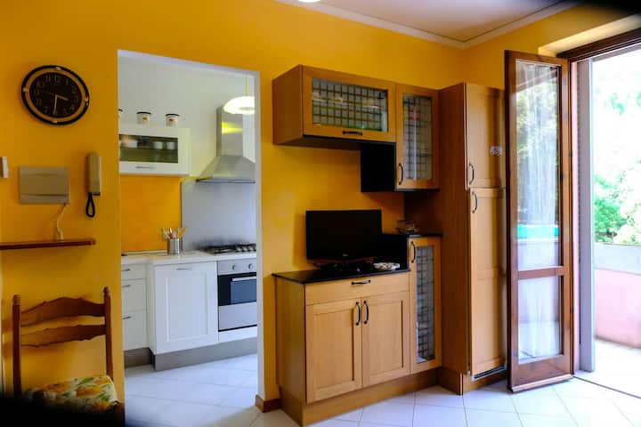 Appartamento: Mare & Pineta A Viareggio - Viareggio