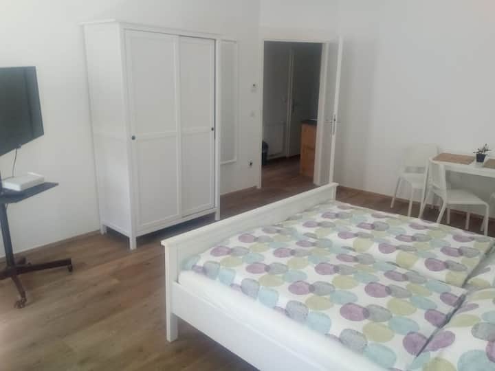 Haus "Johnstrasse" - Wohnung 20 - ウィーン