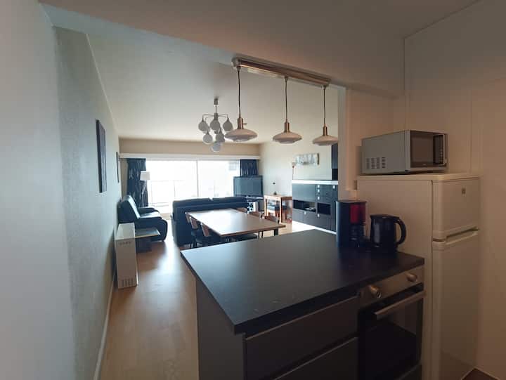 Ruim 2-slaapkamerappartement Met Zeezicht - Middelkerke
