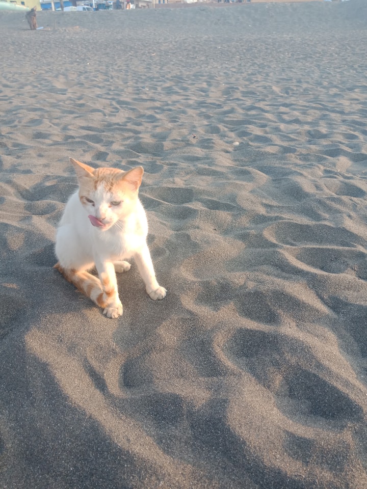 Une Grande Chambre  Pour 2 Personnes - 흐벨