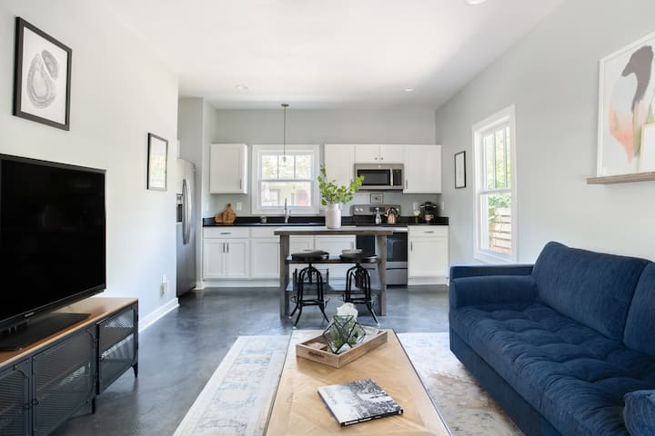 King William Spinone House Near Riverwalk - San Antonio, TX