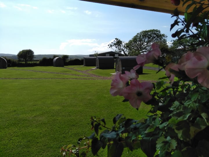 Paddock View Room 7 - Rhossili