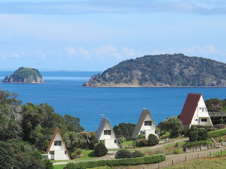 Kikorangi -Family Chalet, Spectacular Sea Views - Coromandel