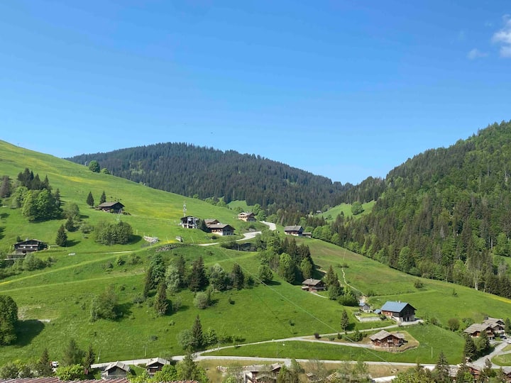 Appartement Aux Pieds Des Pistes - Manigod