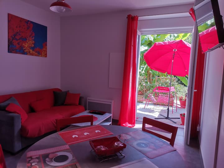 Appartement Rez-de-jardin Dans Villa, Déco Rouge - Pau, Francia