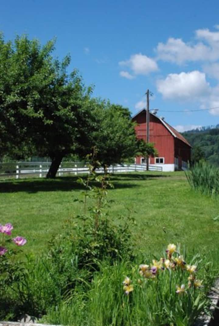 The Farm House at Adeline Farms - Houses for Rent in Woodland ...