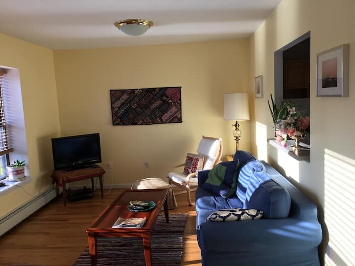 Sunny, Comfortable 2bd - Brooklyn, NY
