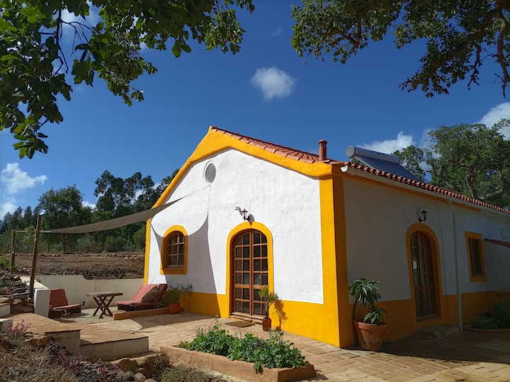 Vale Da Lua - House On The Hill - Odeceixe