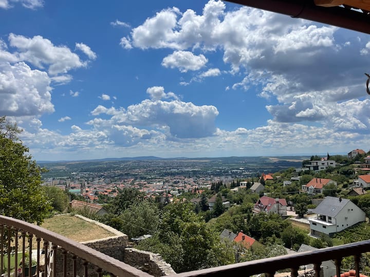 Brand New House With Beautiful View Of Pécs City - Pécs